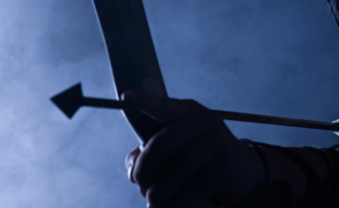 Luino Notizie | Scocca una freccia dalla finestra di casa e uccide un ...