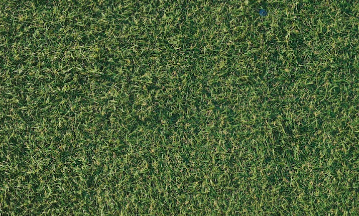 Giardini in erba sintetica: la soluzione eterna per un verde sempre ...