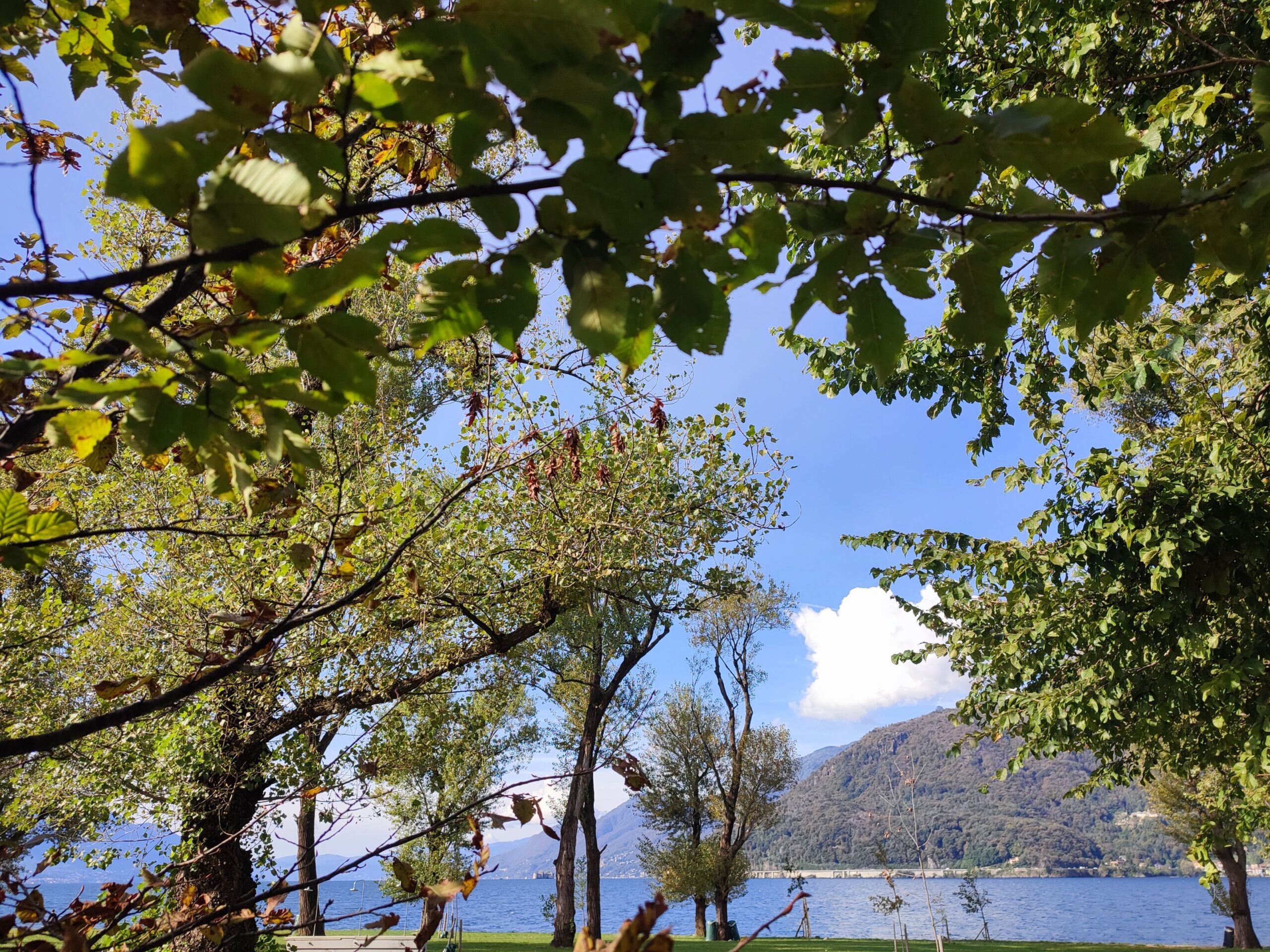 Luino Notizie | Principio d'autunno al Parco Giona, la foto è di Marzia ...
